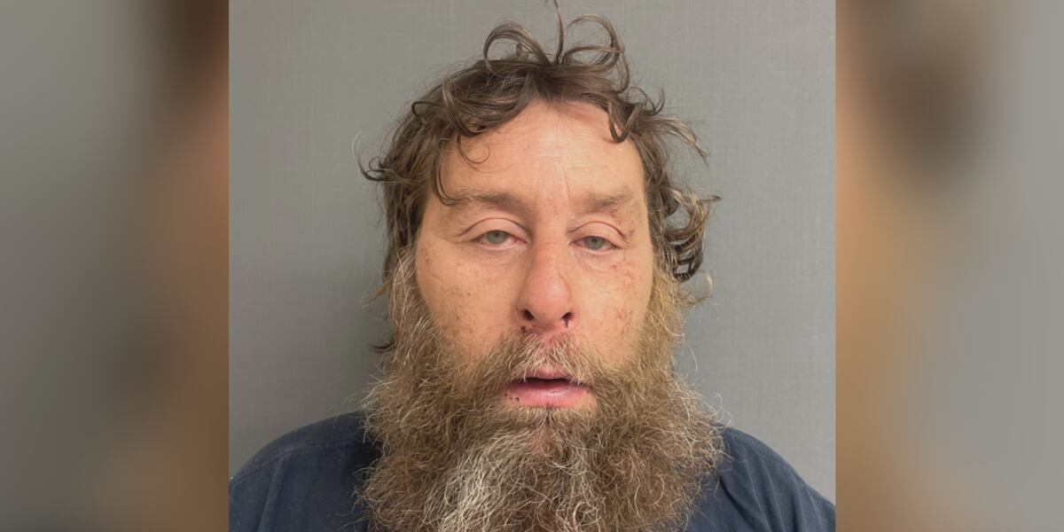 Police Man Charged After Swinging Machete At People Stealing Police